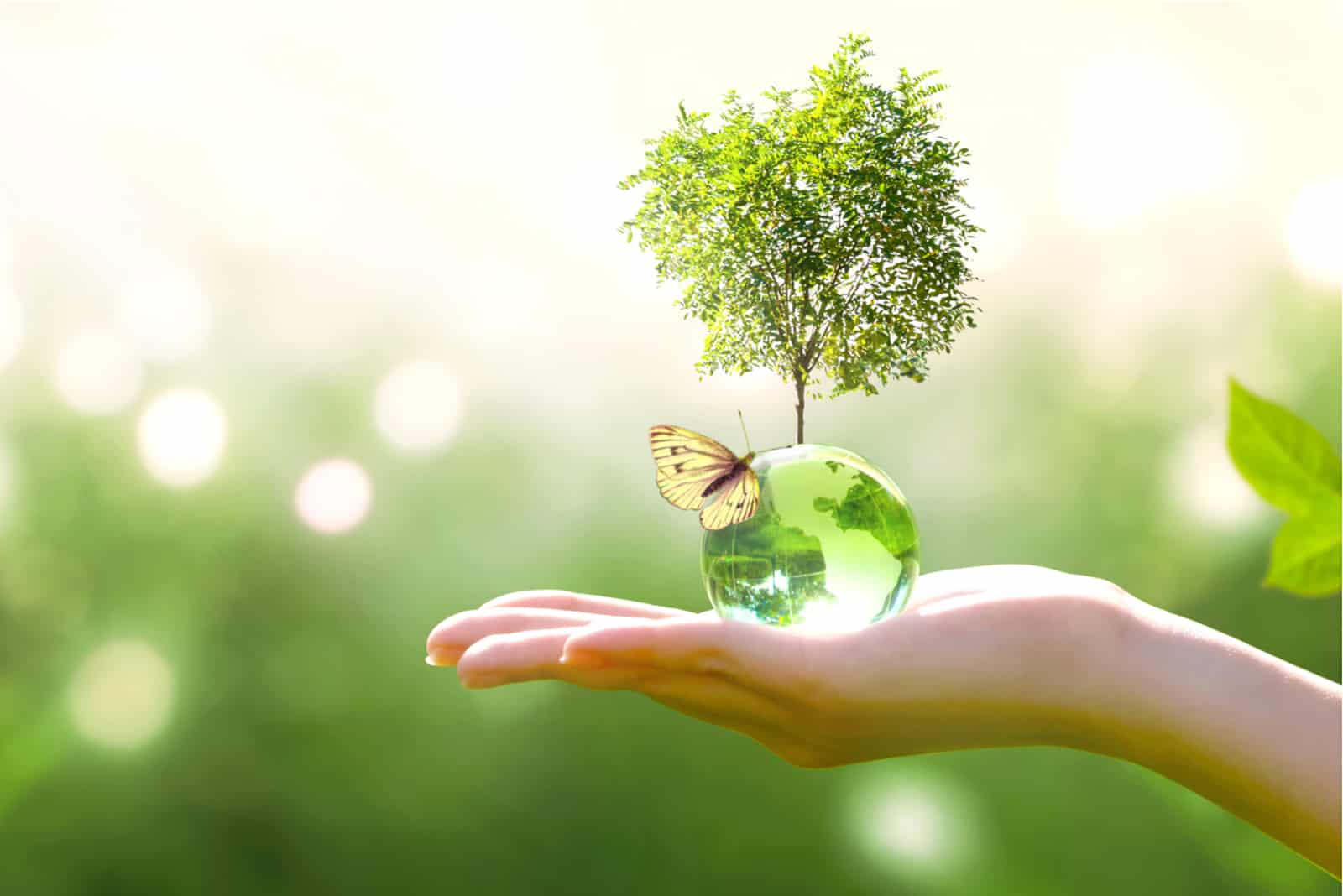 Beautiful Places for Nature Lovers - Content Edition